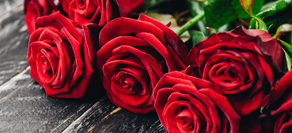 Fresh Flower Scent Florist Archway London 020 7272 6535