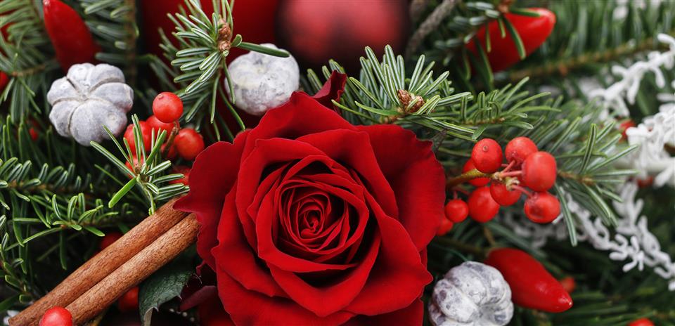 Fresh Flower Scent Florist Archway London 020 7272 6535